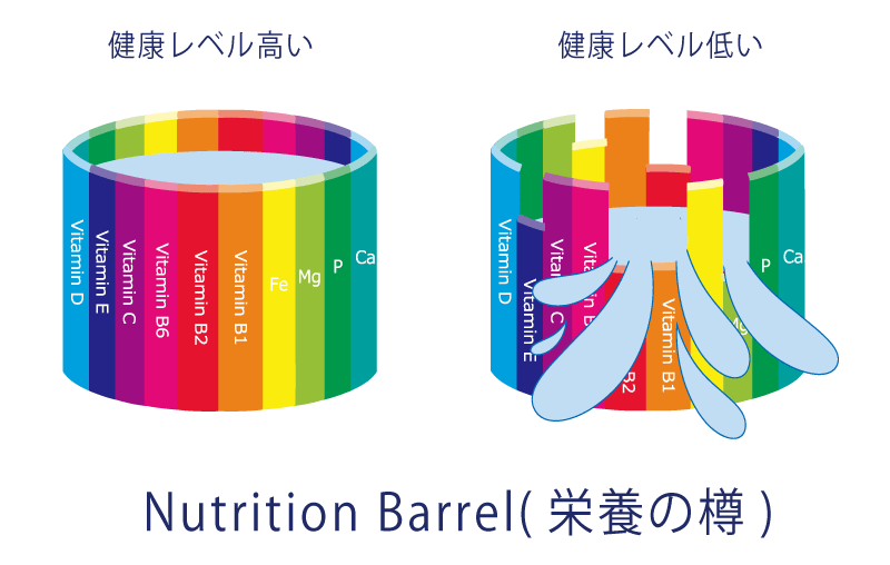 Nutrition Barrel＝栄養樽理論 | 37度株式会社